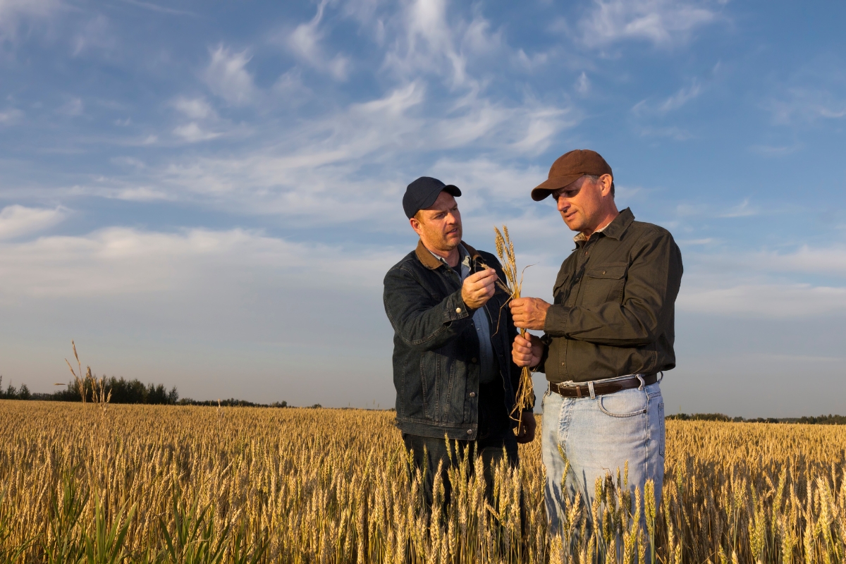 Agromaster - A Sua Revenda de Produtos Agrícolas